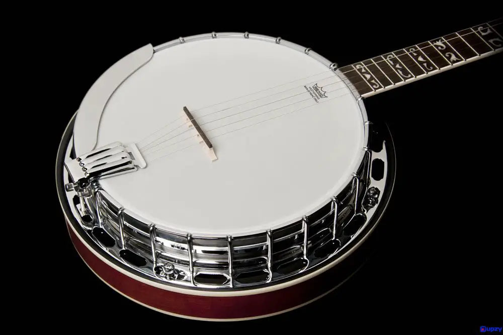 History Of The Banjo — Upzy.com